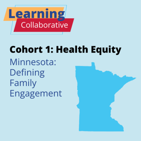 FELSC Learning Collaborative Cohort 1: Minnesota - Family Voices
